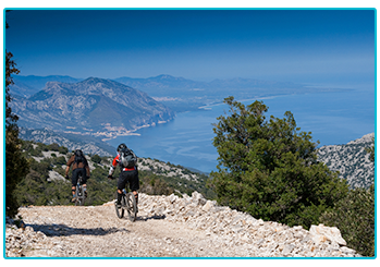 Cycle Archives - Blog