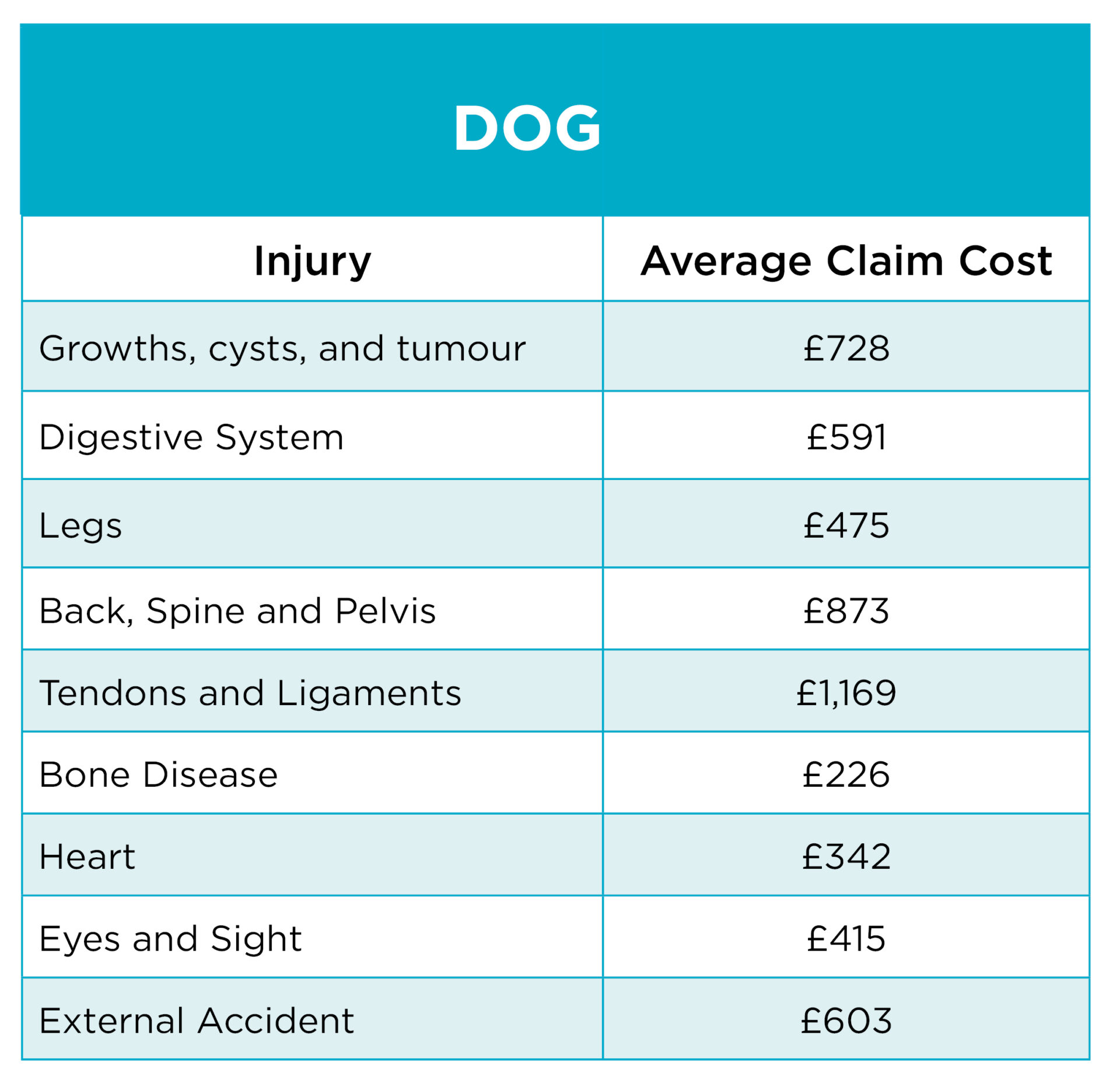 The Insurance Emporium | The Importance Of Pet Insurance