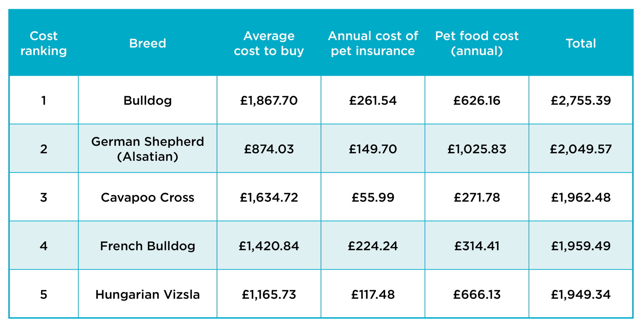 The UK's Most (and least) Affordable Dog Breeds 2024 | TIE