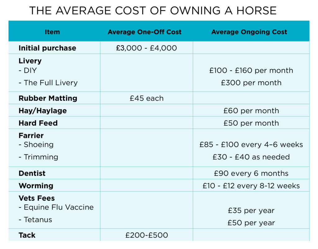 How Much Does It Cost To Lease A Horse